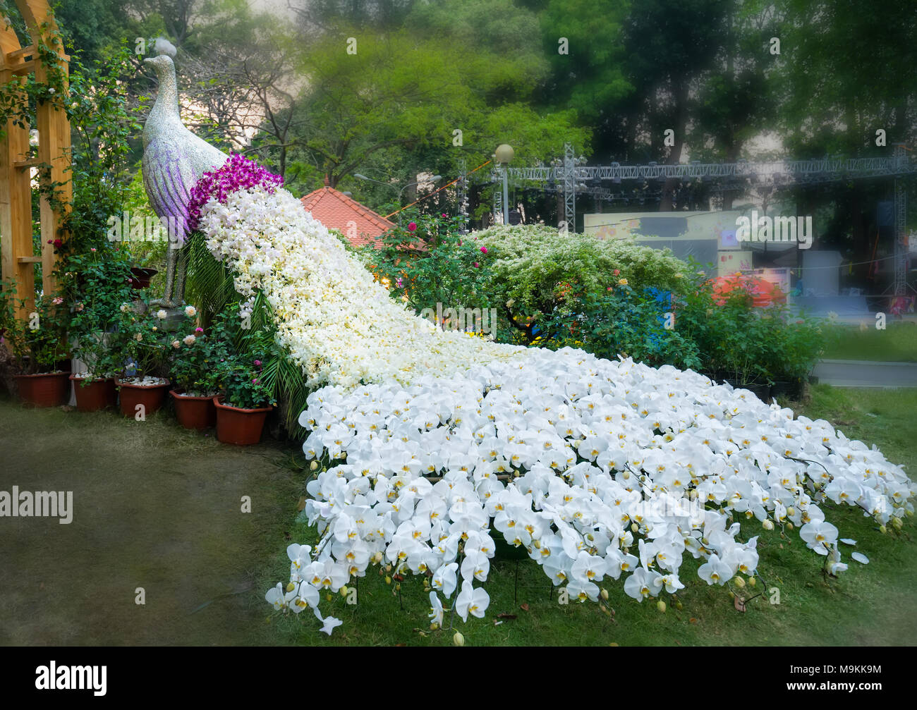 Spring Festival flower garden in lunar year to attract more tourists to ...