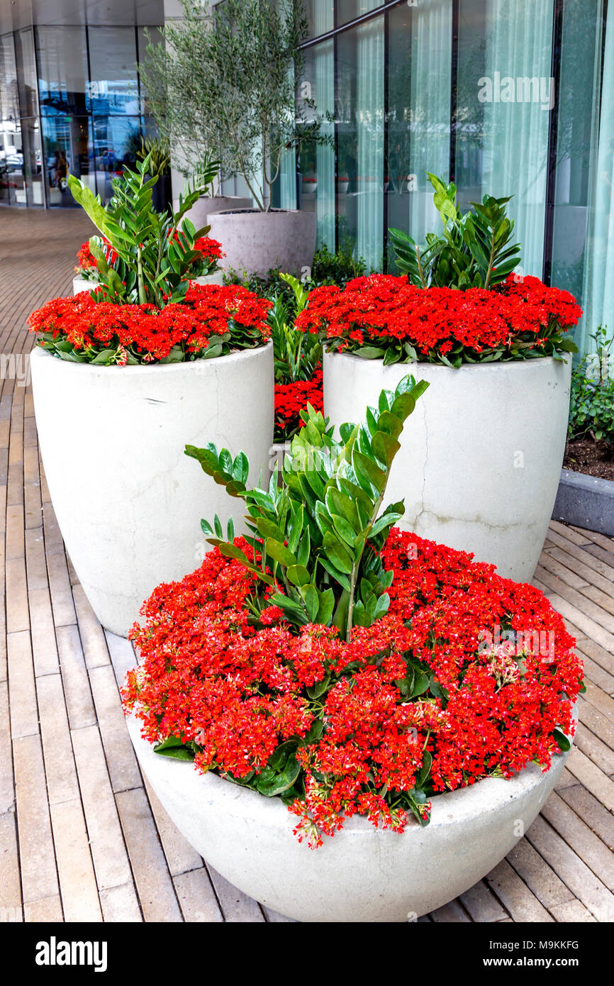 Flower display outside the Vdara hotel and spar, Las Vegas, Navarda, U ...