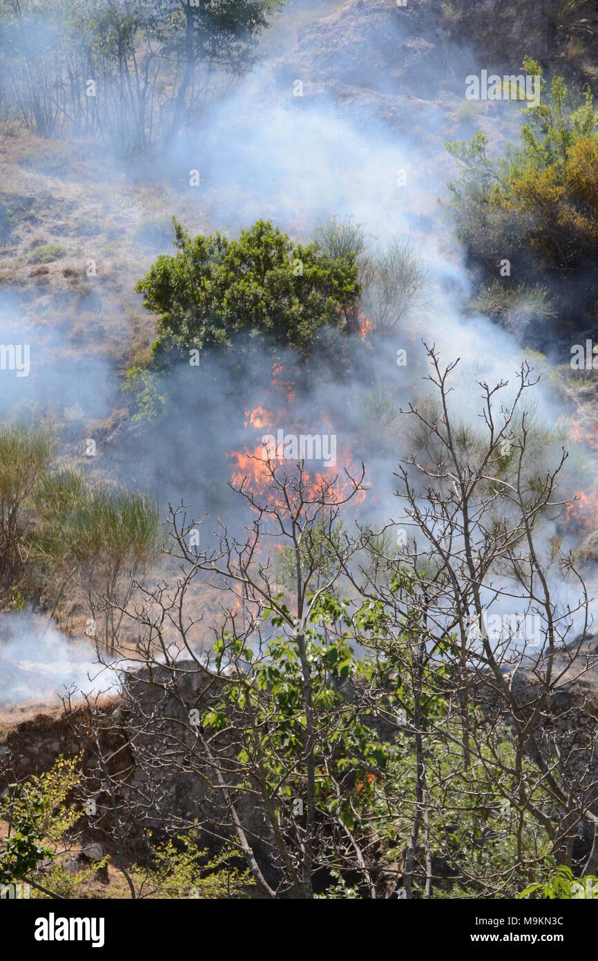 Summer fire hi-res stock photography and images - Alamy