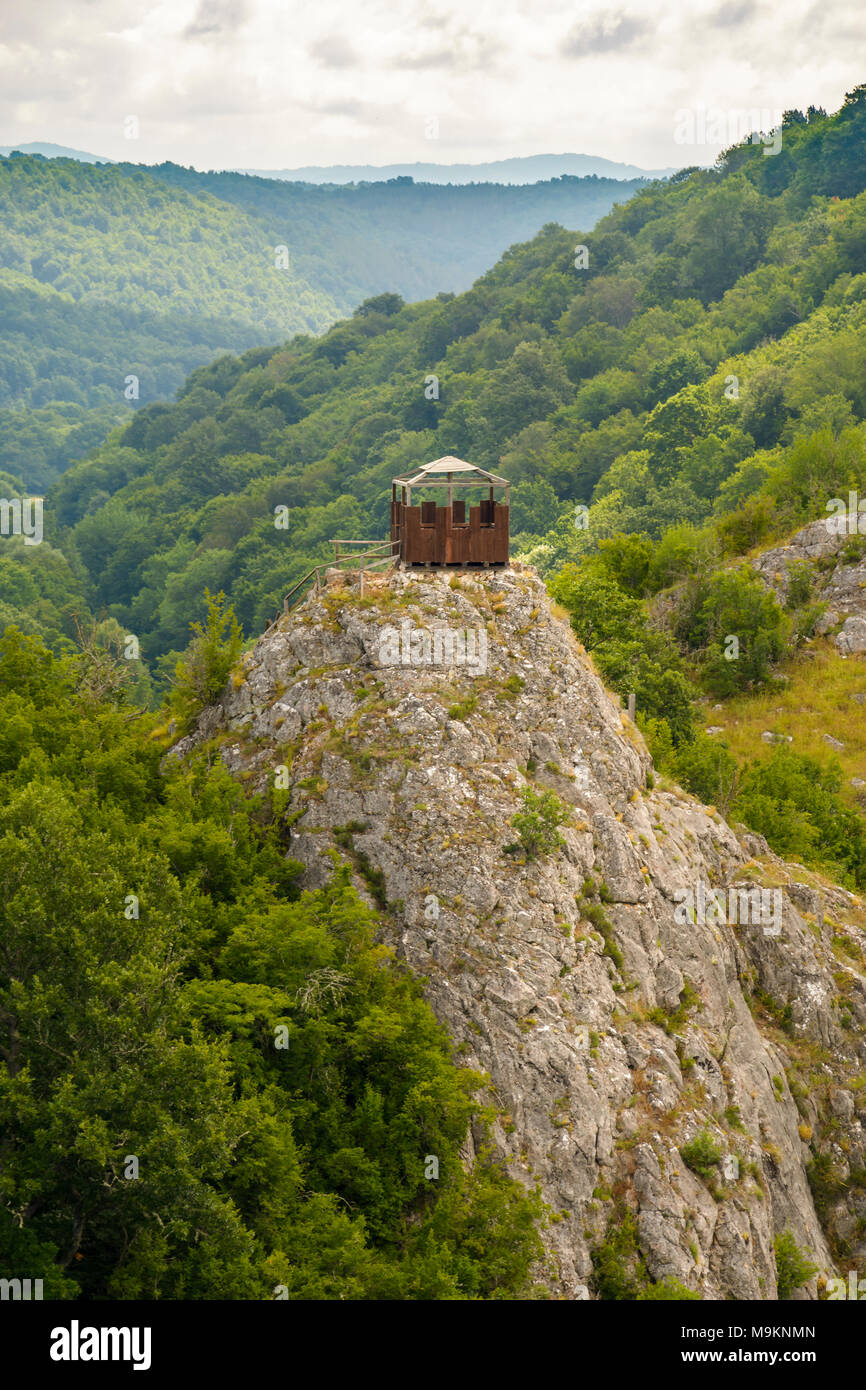 Observation post tree hi-res stock photography and images - Alamy