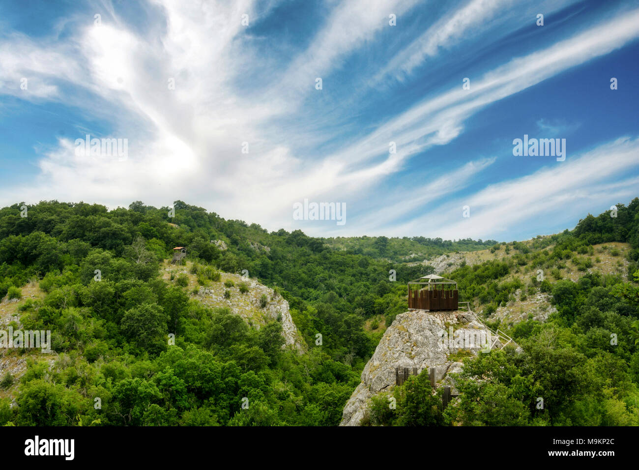Landscape in the strandja National park , background with blue sky and ...