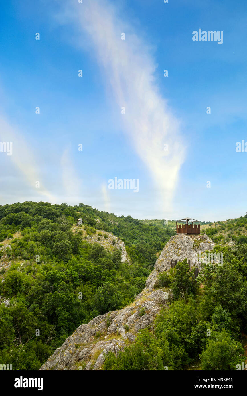 Observation post tree hi-res stock photography and images - Alamy