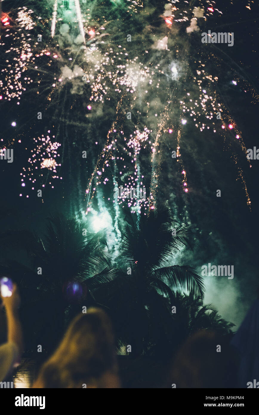 Palm tree fireworks hi-res stock photography and images - Alamy