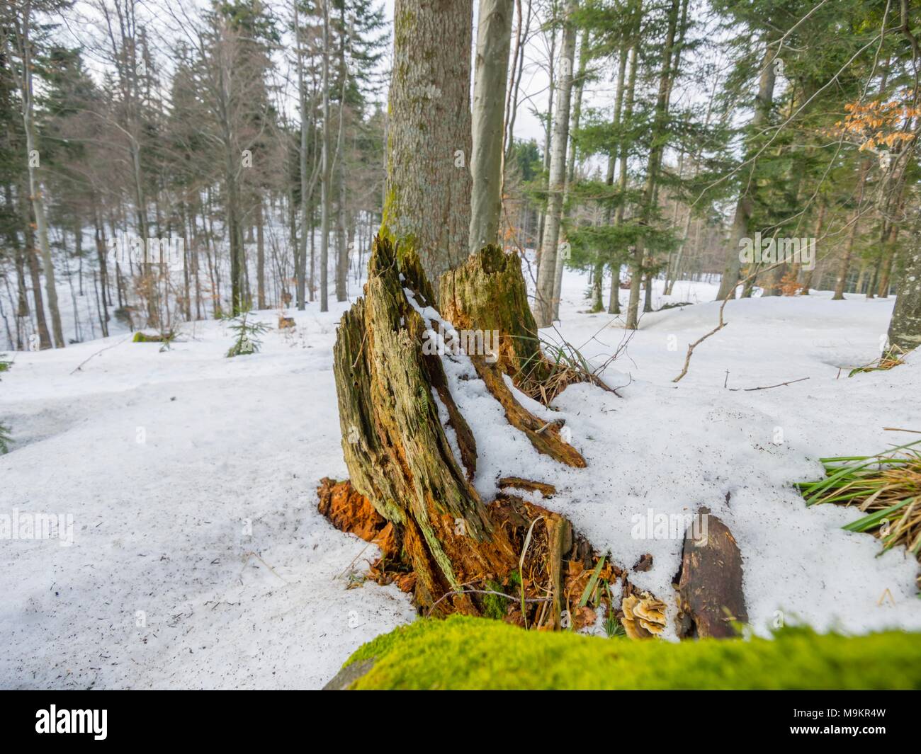 Gorski kotar and winter hi-res stock photography and images - Alamy