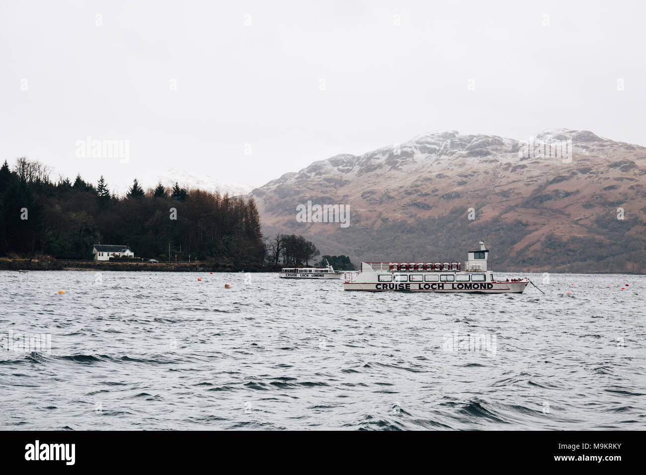 Tour boat on Loch Lomond near Tarbet, Scotland, in spring. The lake is ...