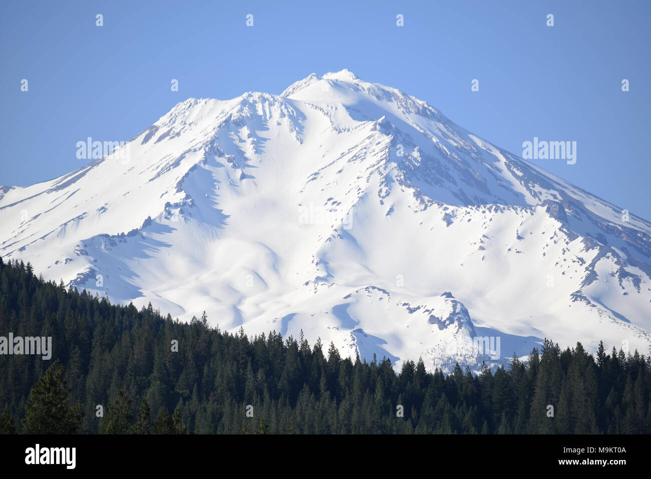 Mt weed hi-res stock photography and images - Alamy