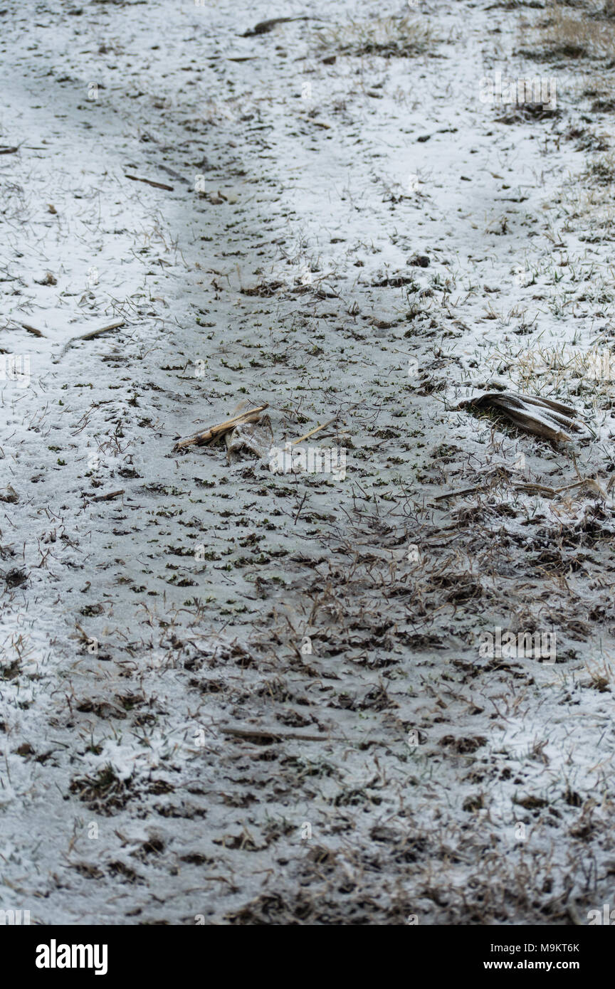 Compacted snow hi-res stock photography and images - Alamy