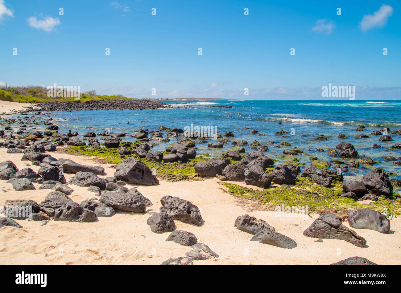 Gorgeous view of Galapagos Islands with rocks in the ocean of the ...