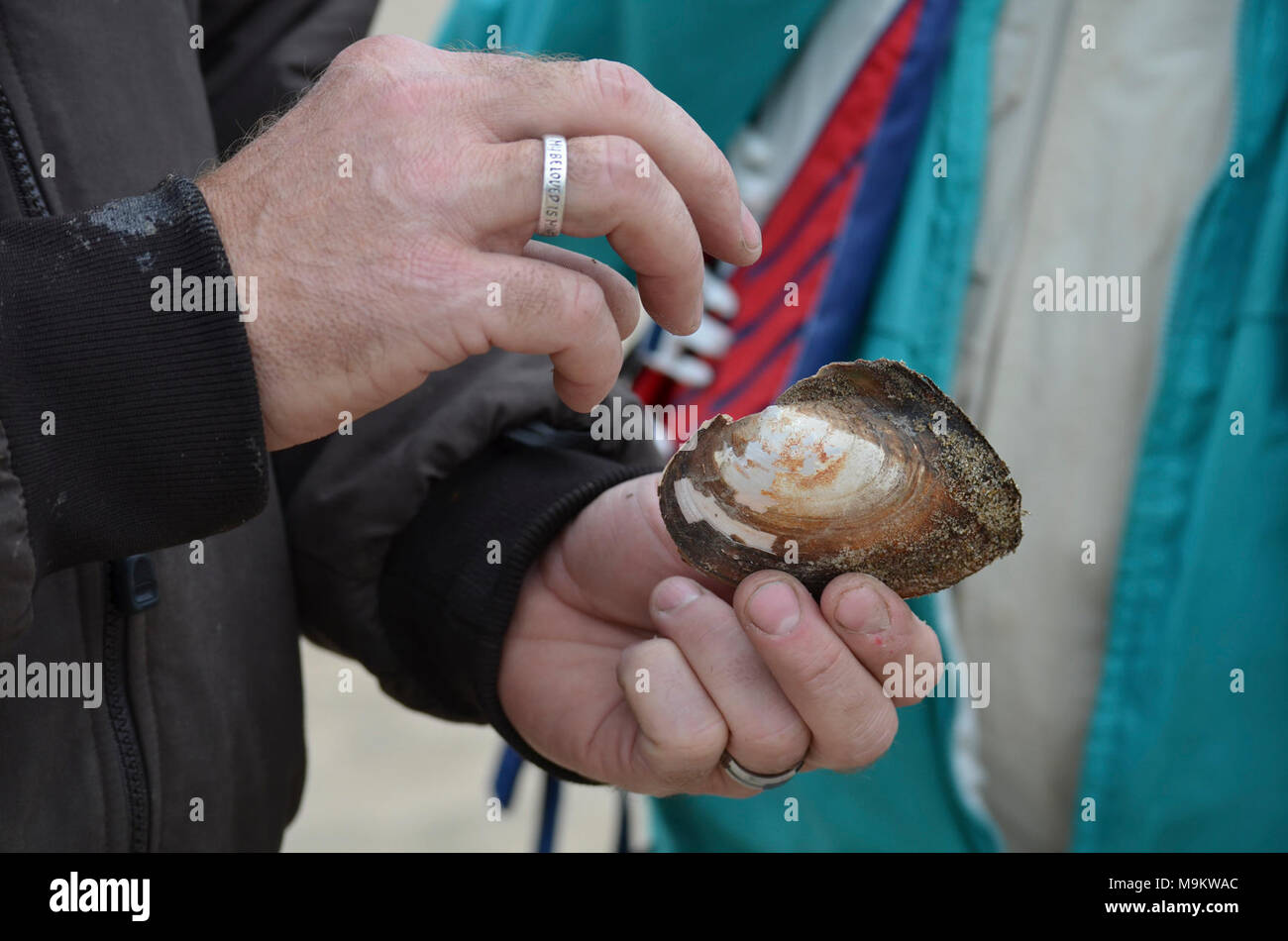 USFWS biologist Jeff Finley holding mussel. USFWS/Ashley Spratt Stock ...