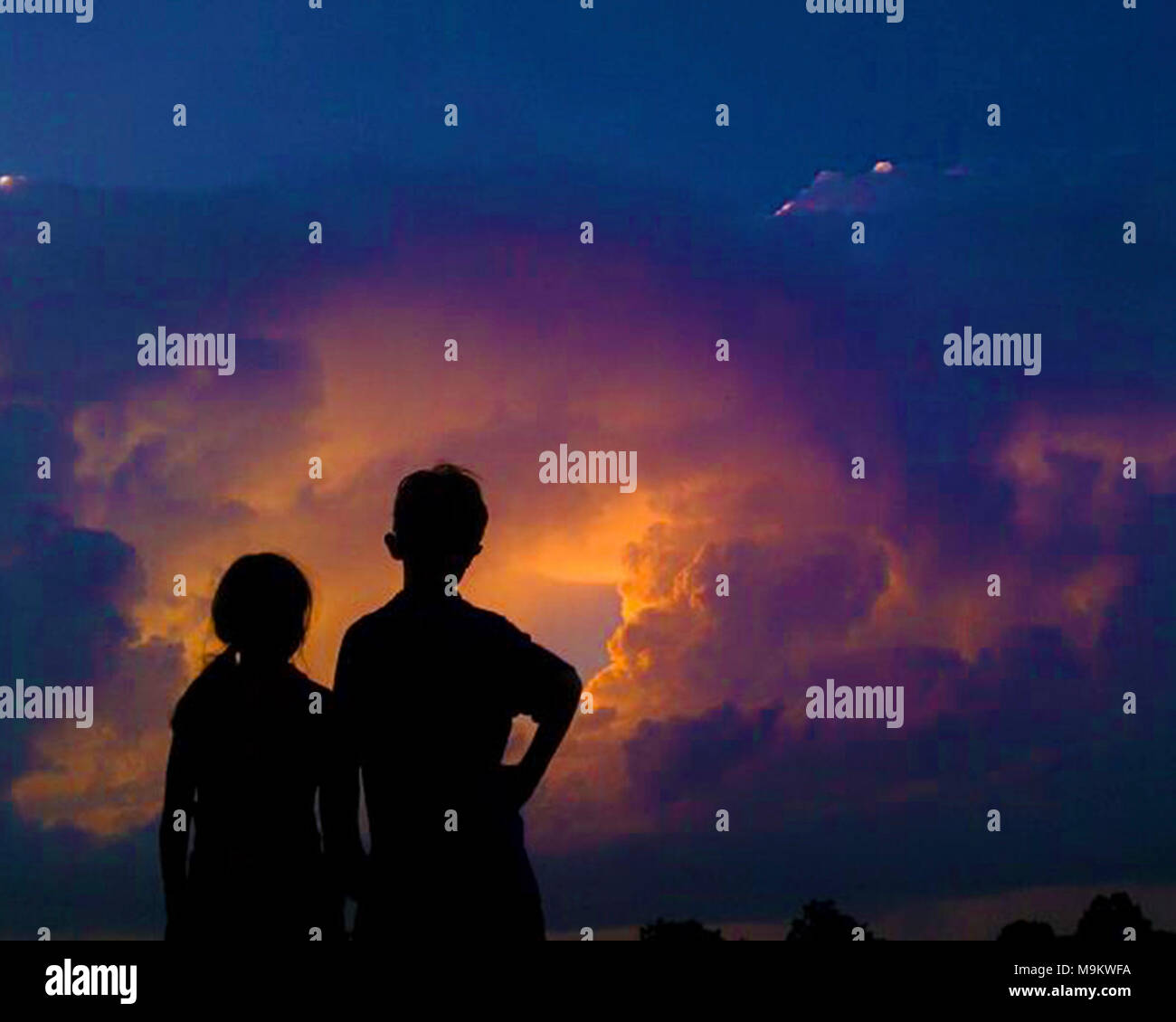 USFWS at work protecting the environment Stock Photo - Alamy