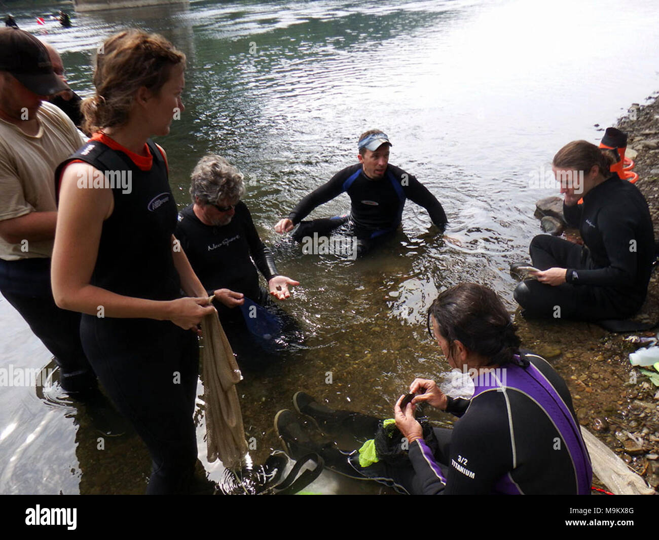 Allegheny Freshwater Mussel Collection Stock Photo - Alamy