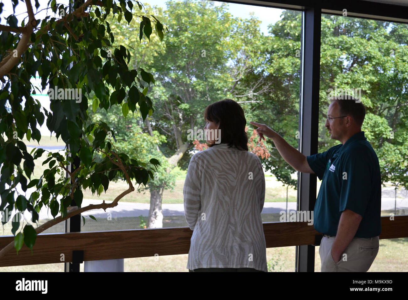 Invasive species asian carp hi-res stock photography and images - Alamy