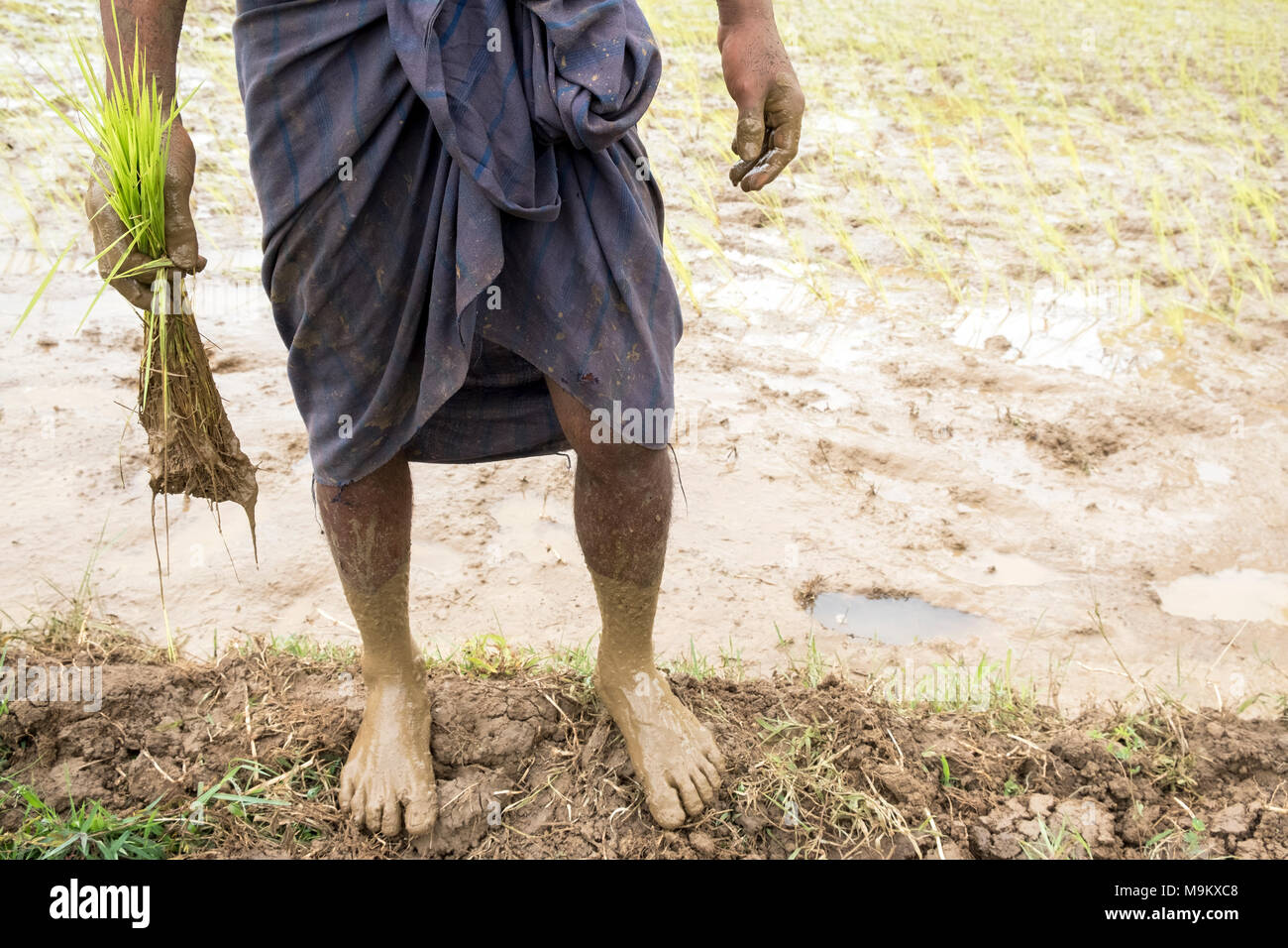 Burma village hi-res stock photography and images - Alamy