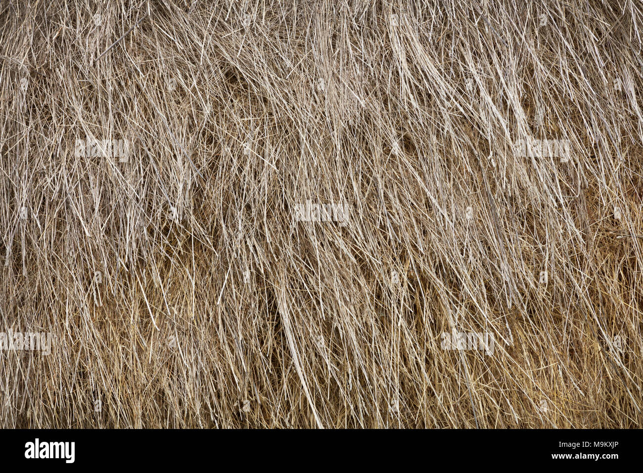 Rotten straw hi-res stock photography and images - Alamy