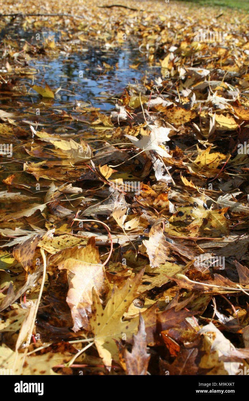 USFWS at work protecting the environment Stock Photo - Alamy