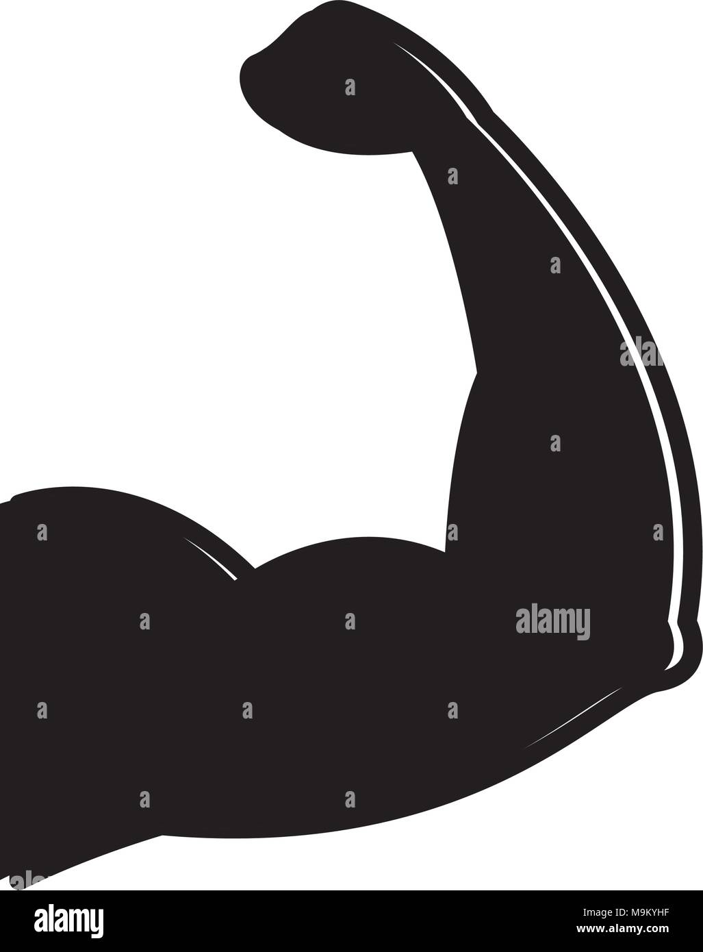 Male muscle flex Stock Vector Images - Alamy