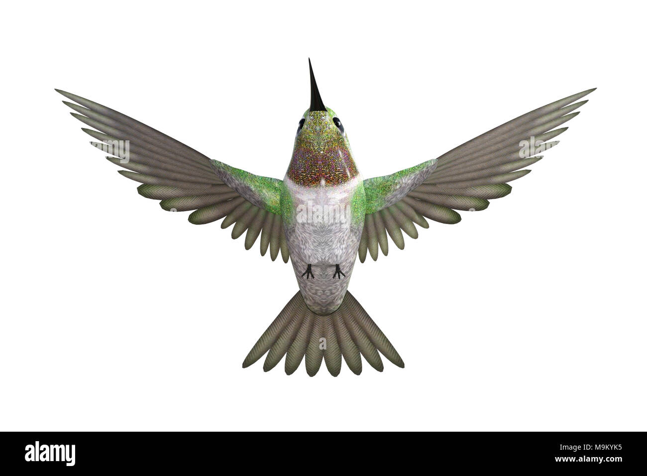 Beautiful bird isolated on white, 3d render Stock Photo - Alamy