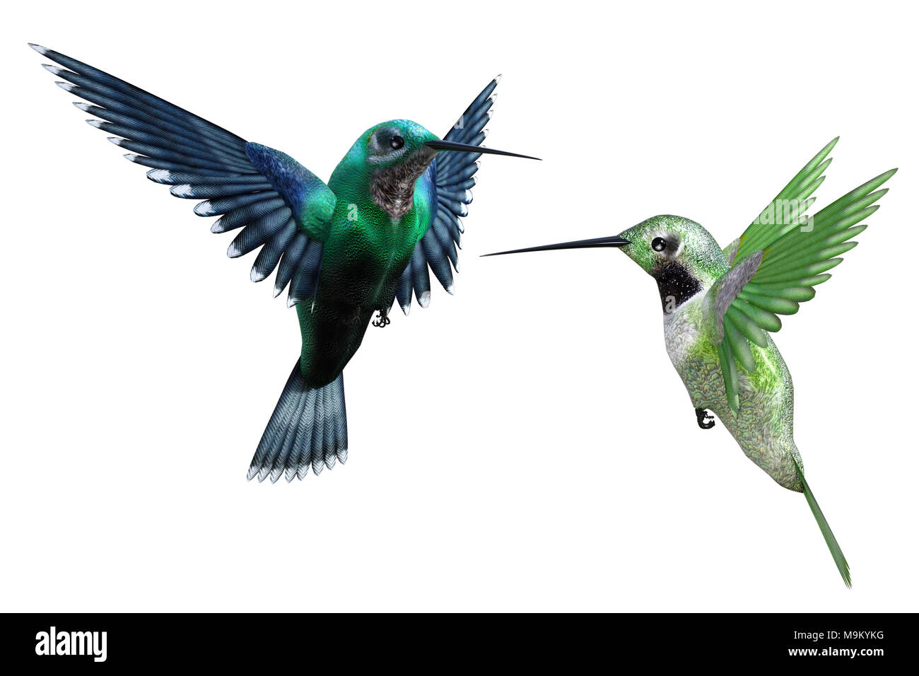 Beautiful bird isolated on white, 3d render Stock Photo - Alamy