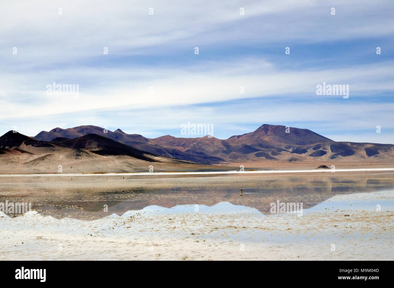 Desert salt water hi-res stock photography and images - Alamy