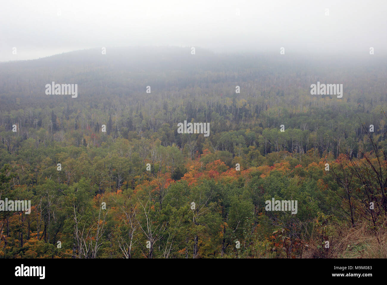 USFWS at work protecting the environment Stock Photo - Alamy