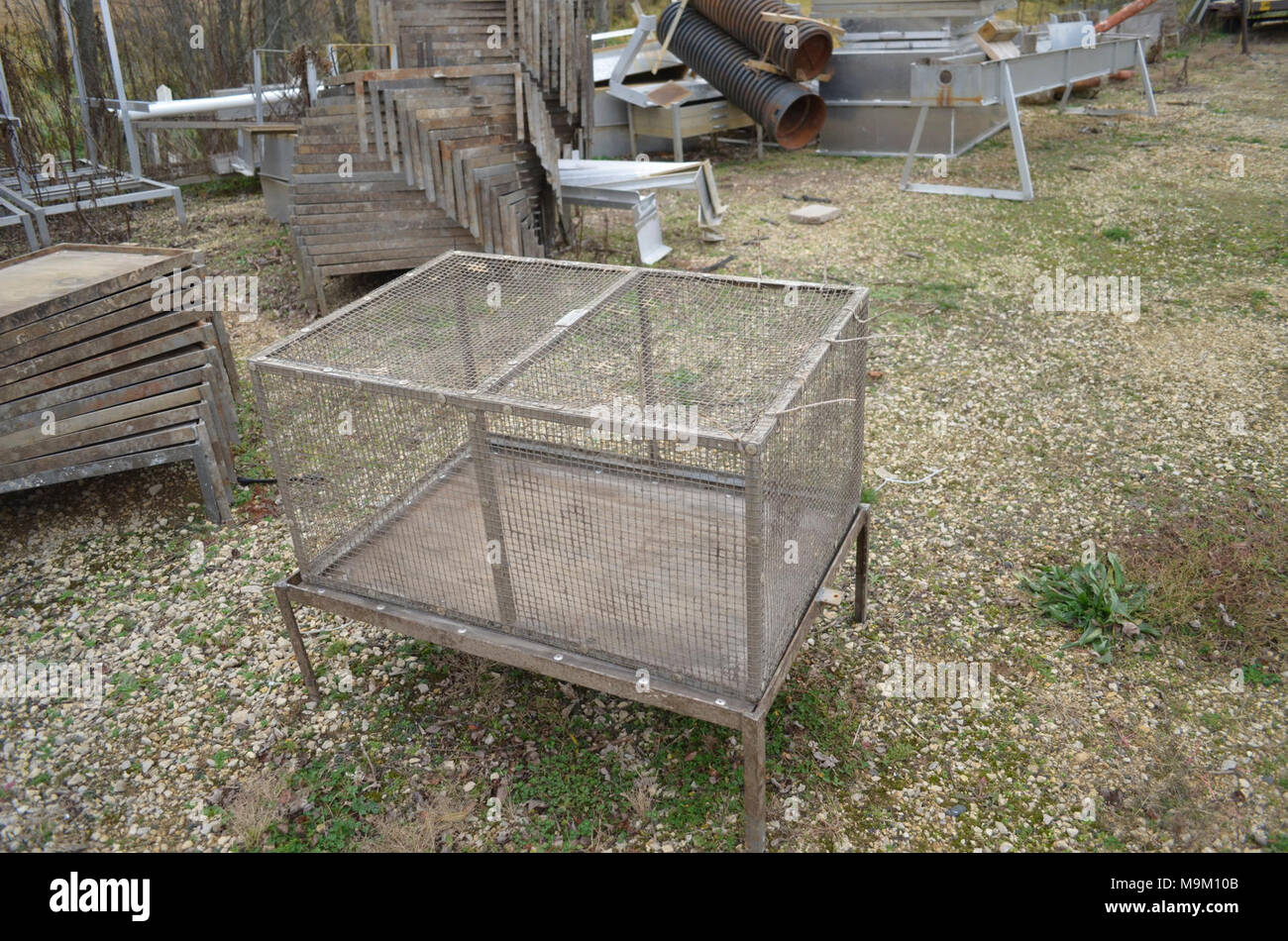 As part of the mussel's life cycle, young mussels (glochidia) use host ...