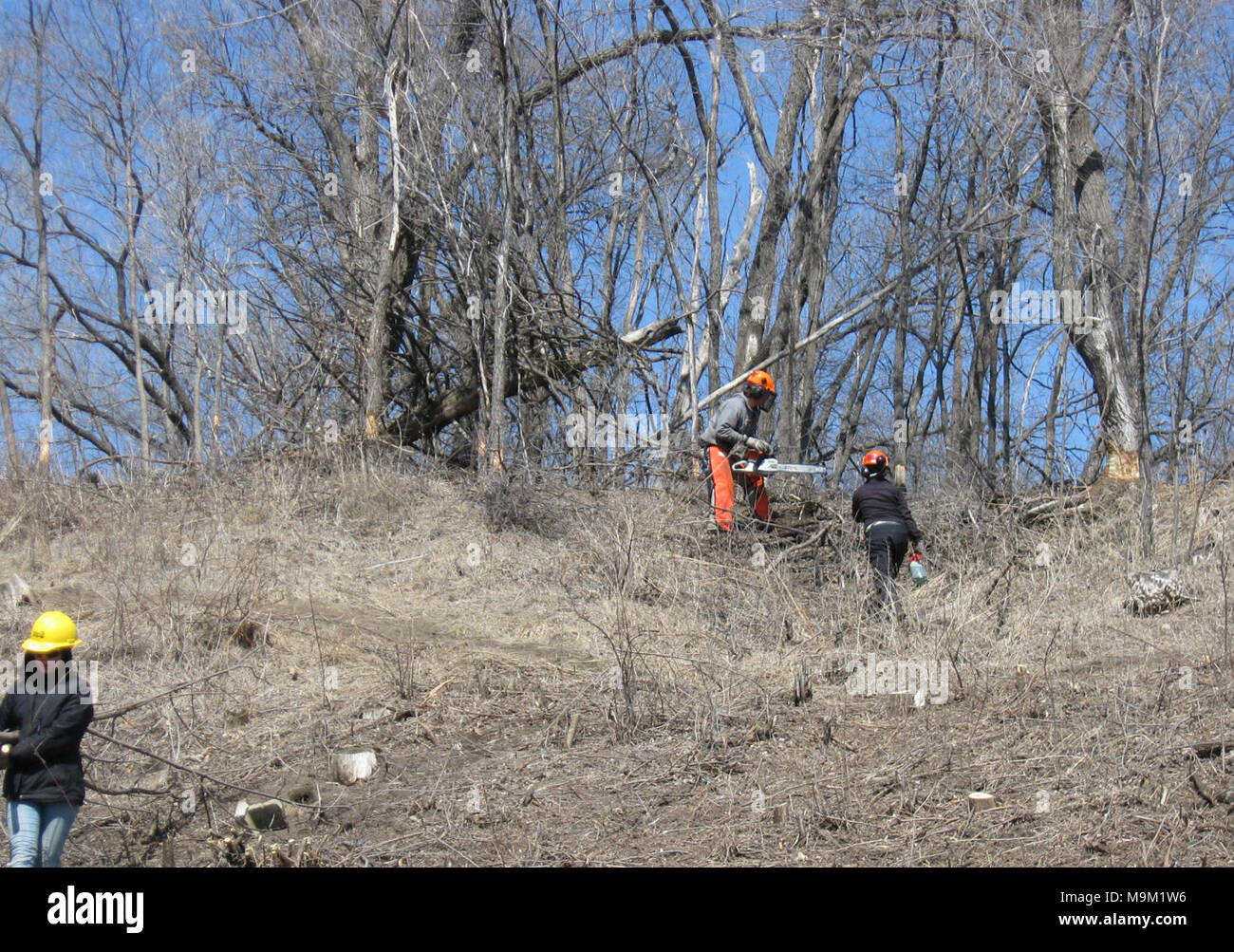 Using Hand Tools Stock Photo - Alamy