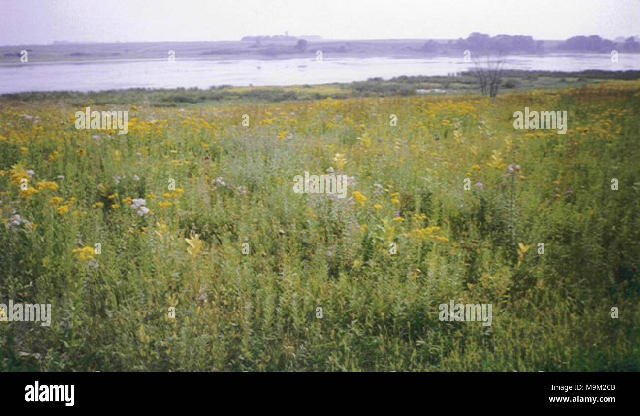 Unión slough hi-res stock photography and images - Alamy