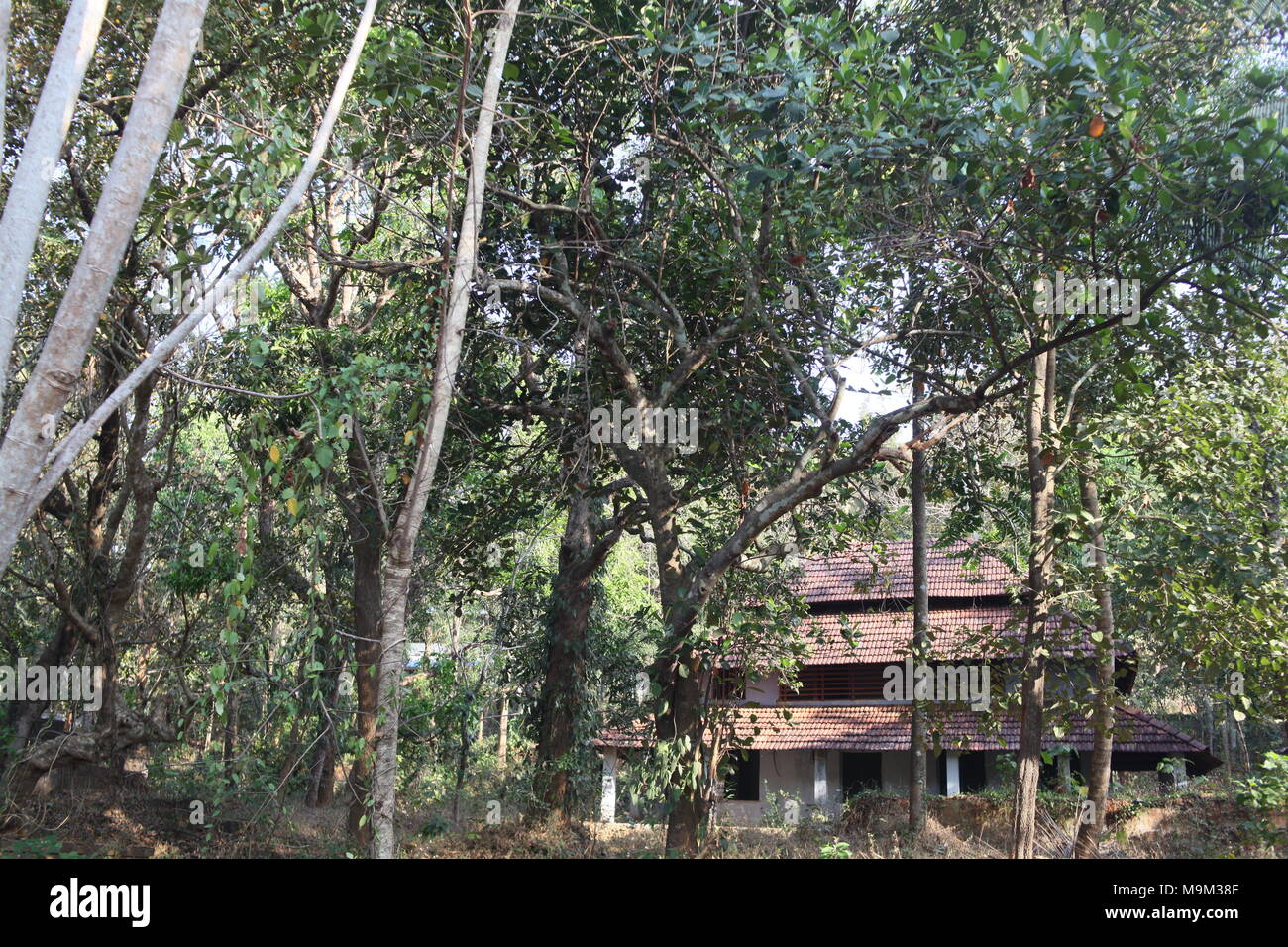 Traditional kerala roof hi-res stock photography and images - Alamy