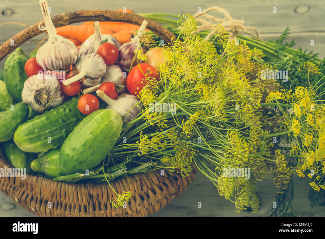Collection of vegetables in the basket, local farming produce, toned ...