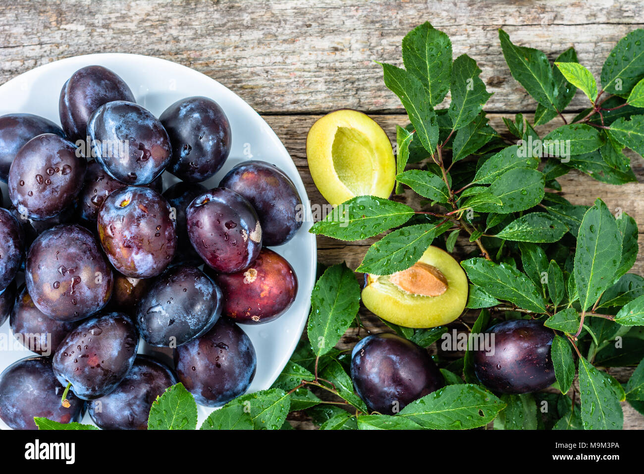 Wet plums on plate and plum tree branch on rustic background Stock ...