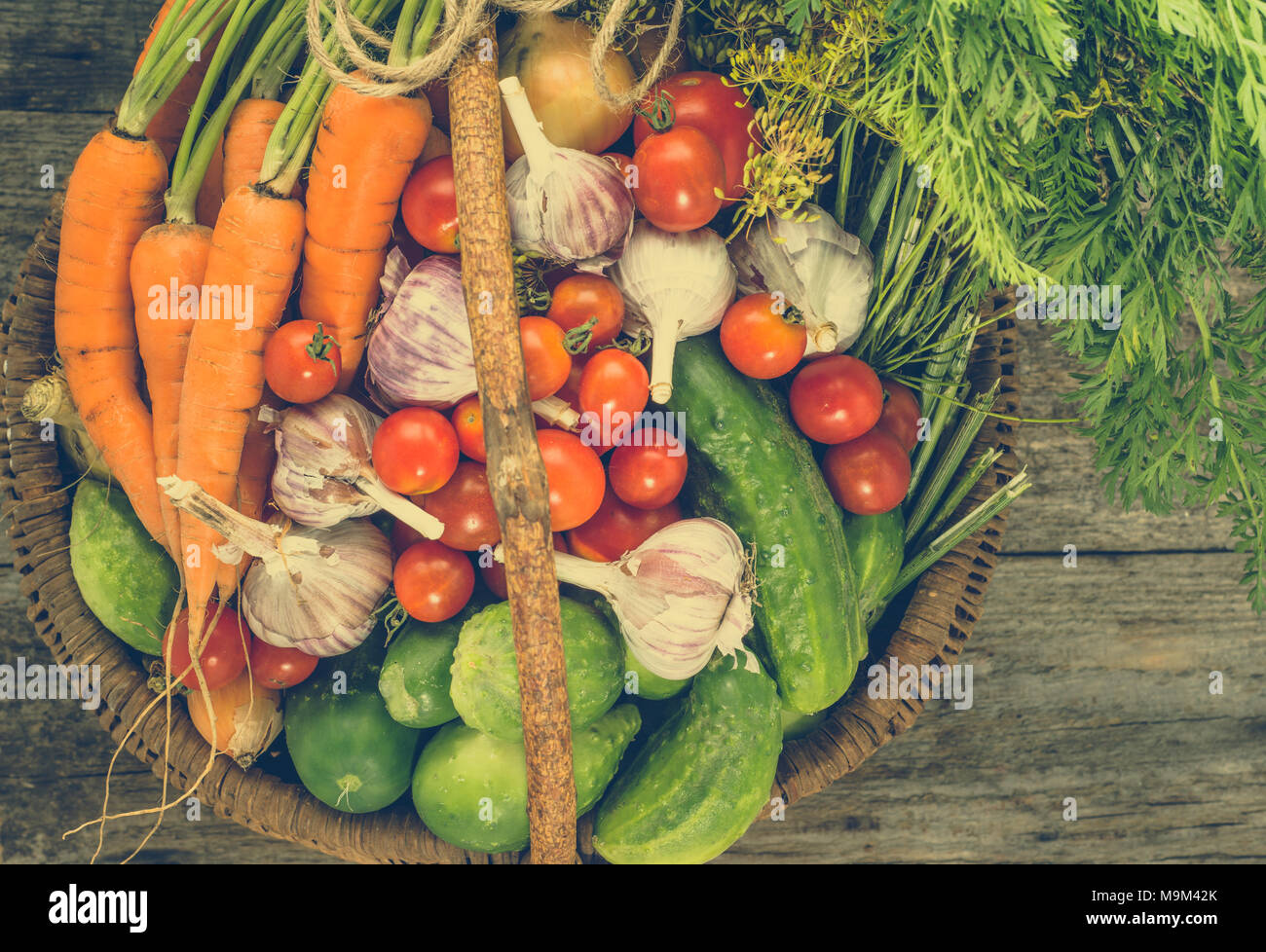 Collection of vegetables in the basket, local farming produce, toned ...