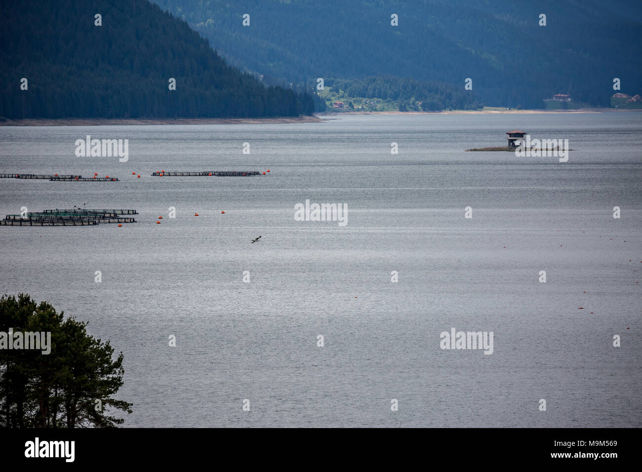 Elevated view over the blue waters of lake Dospat with the abandoned ...