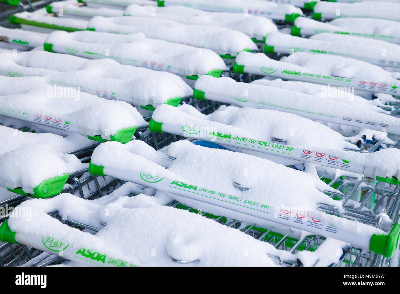 Asda shopping trollies covered in snow during the beast from the East ...