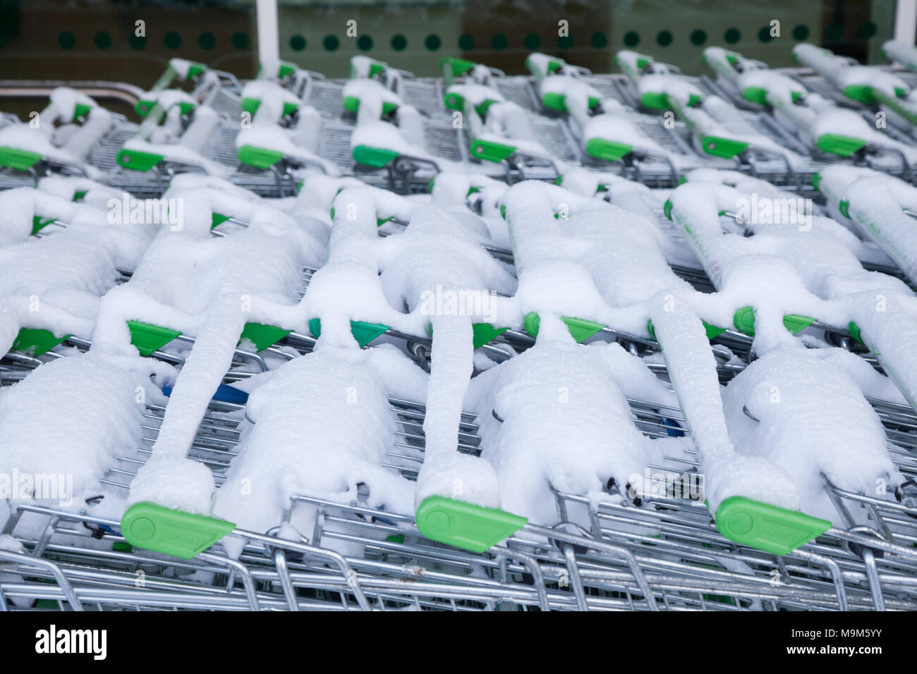 Asda shopping trollies covered in snow during the beast from the East ...