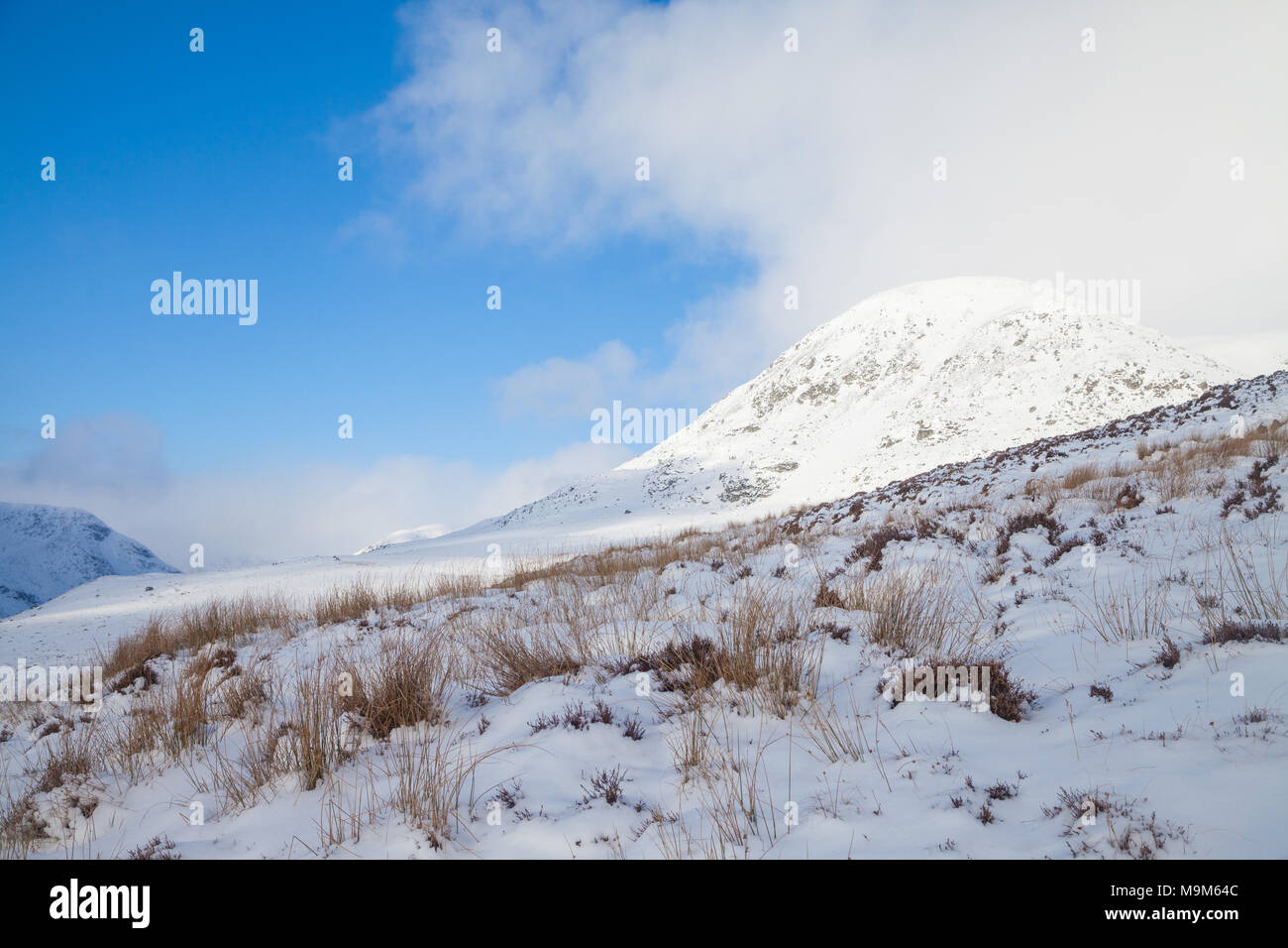 Loch Brandy High Resolution Stock Photography and Images - Alamy
