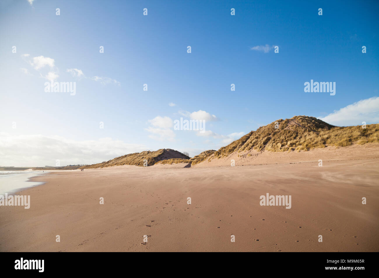 Lunan Bay beach near Montrose Scotland Stock Photo - Alamy