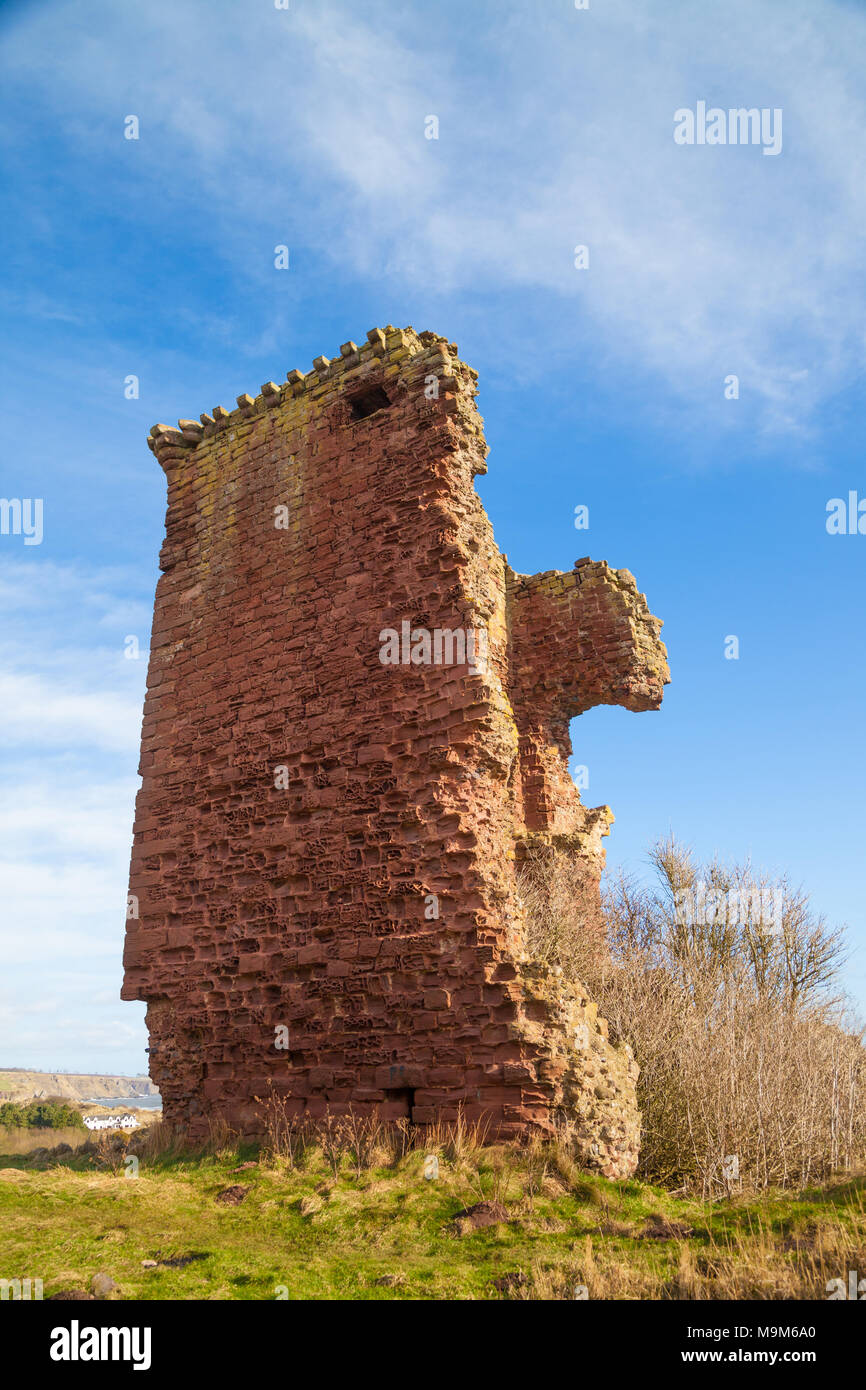 The remains of Red Castle near Lunan Bay Angus Scotland Stock Photo - Alamy