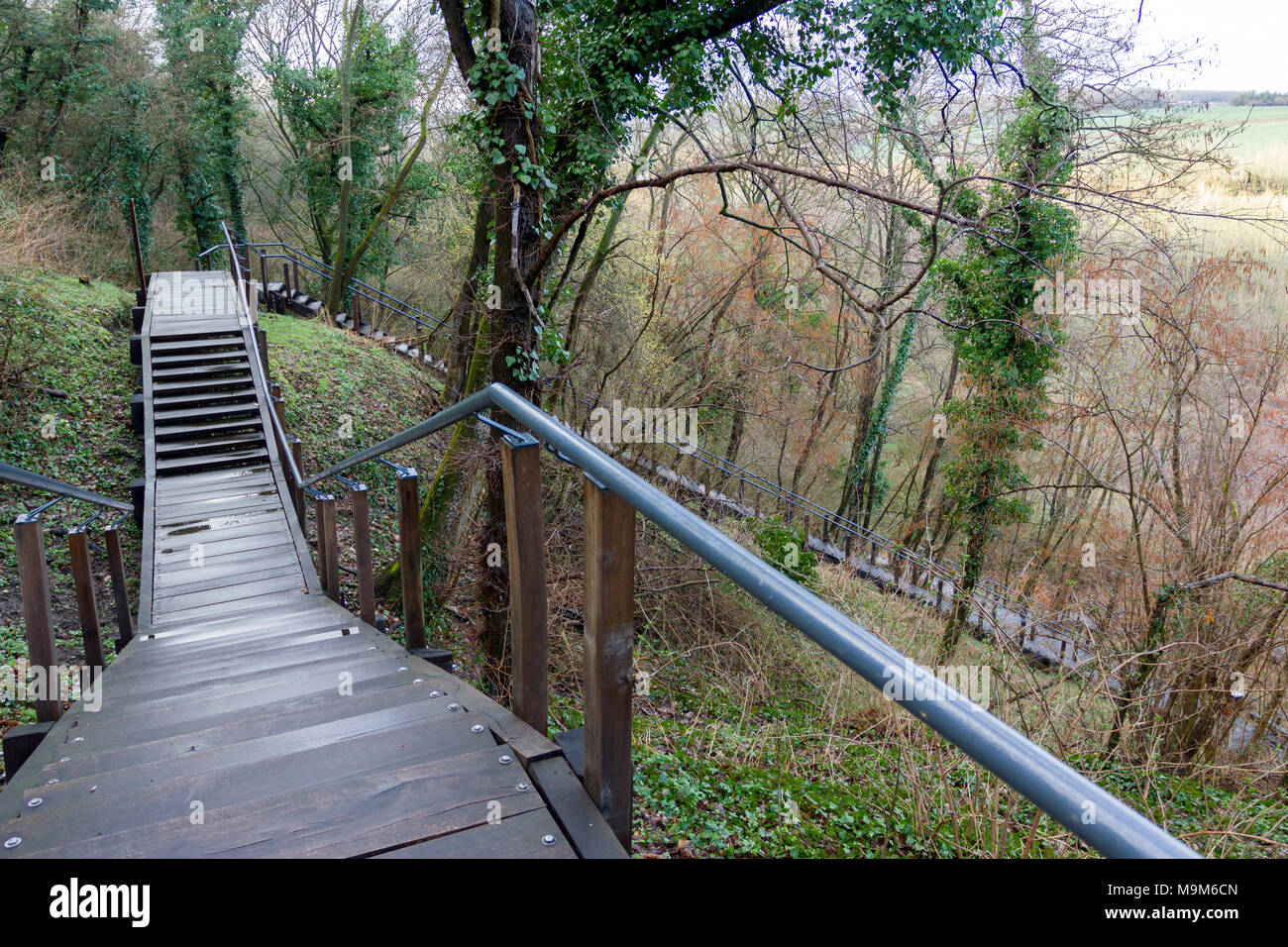 Wood pathwalk, trail in Somogyvar, Hungary Stock Photo - Alamy