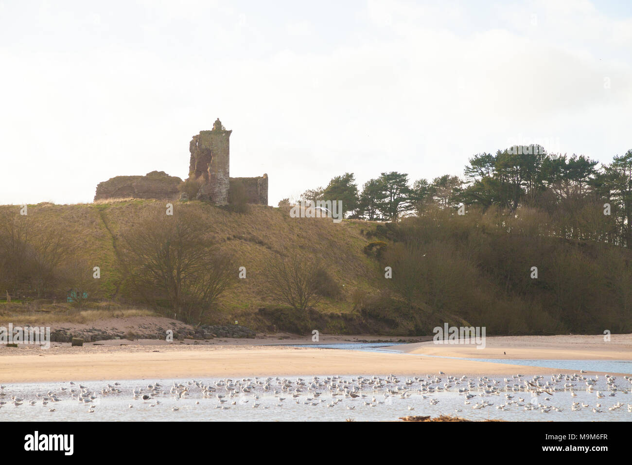 Red castle lunan bay hi-res stock photography and images - Alamy