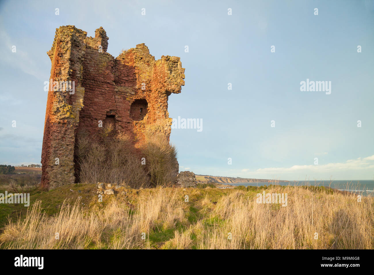 The remains of Red Castle near Lunan Bay Angus Scotland Stock Photo - Alamy