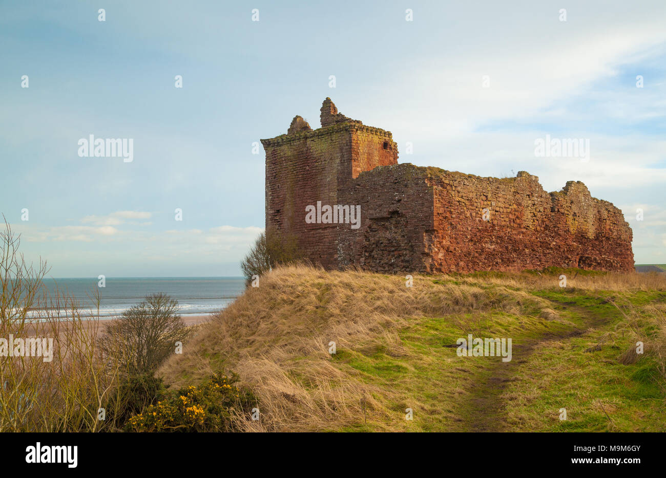 The remains of Red Castle near Lunan Bay Angus Scotland Stock Photo - Alamy