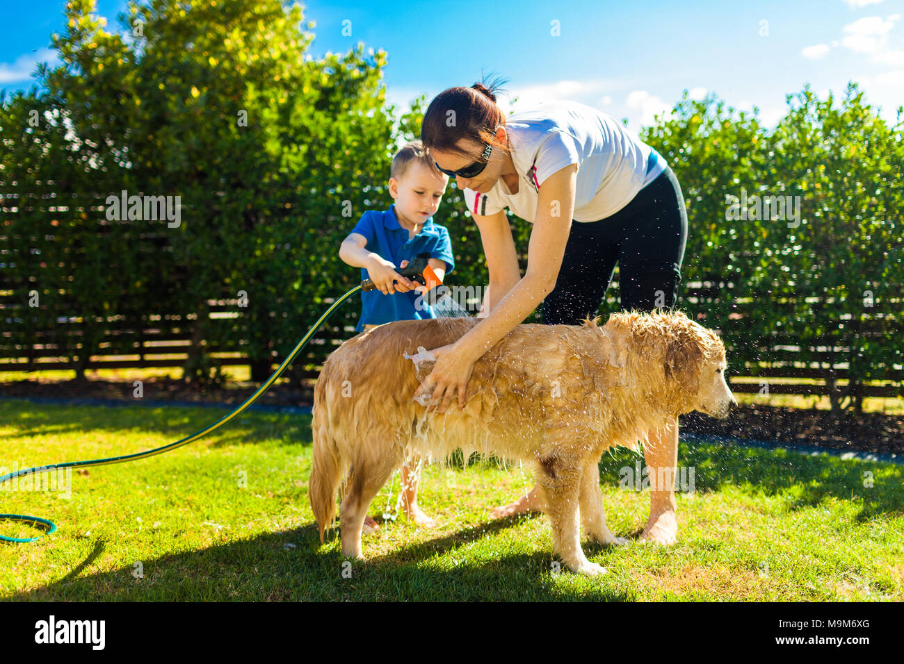 Boy washing dog hi-res stock photography and images - Alamy