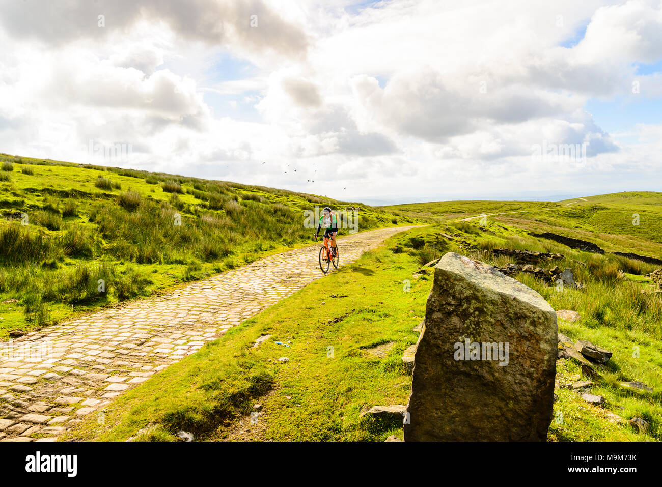 Cotton famine road hi-res stock photography and images - Alamy