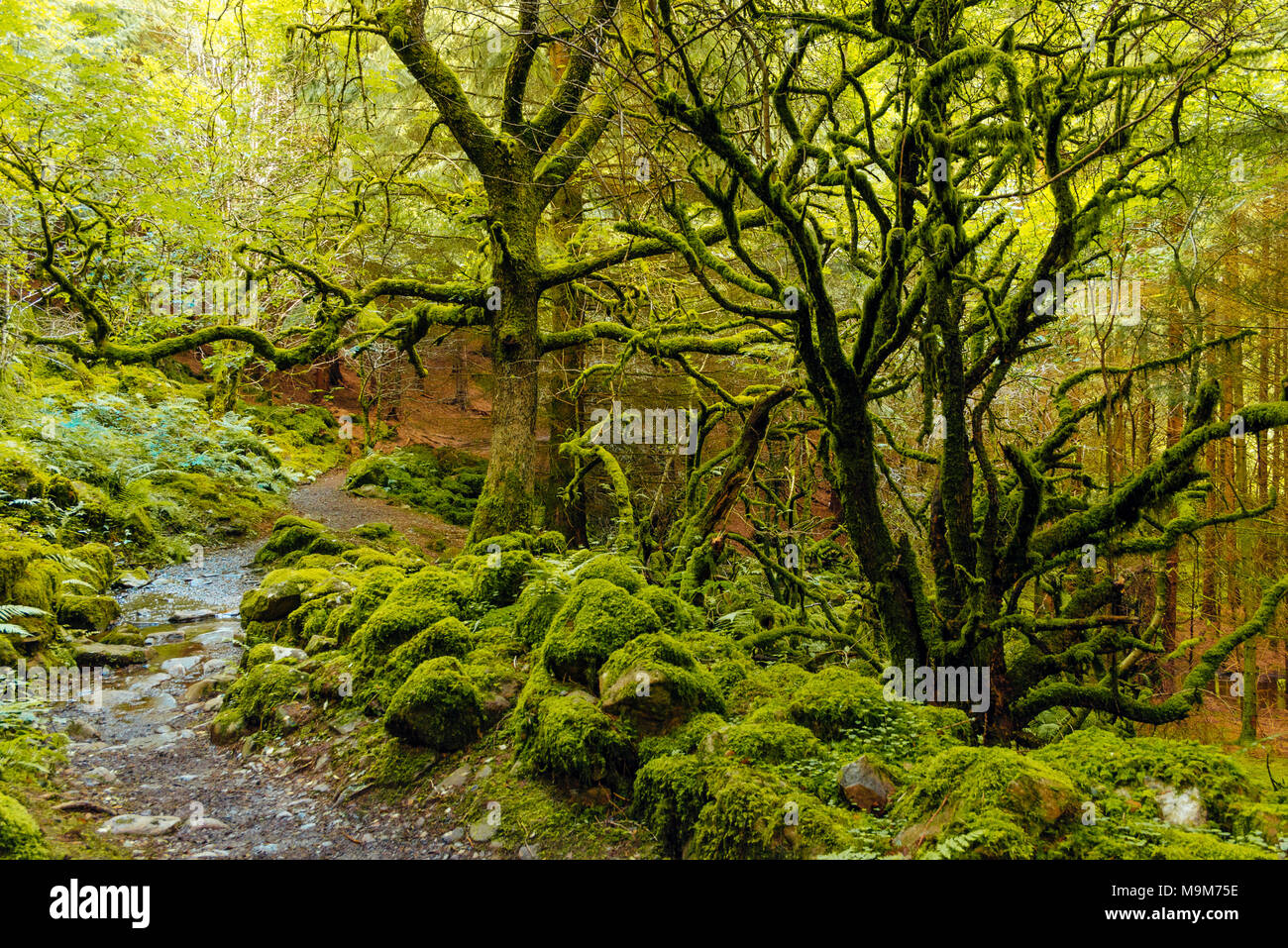 Rough footpath hi-res stock photography and images - Alamy