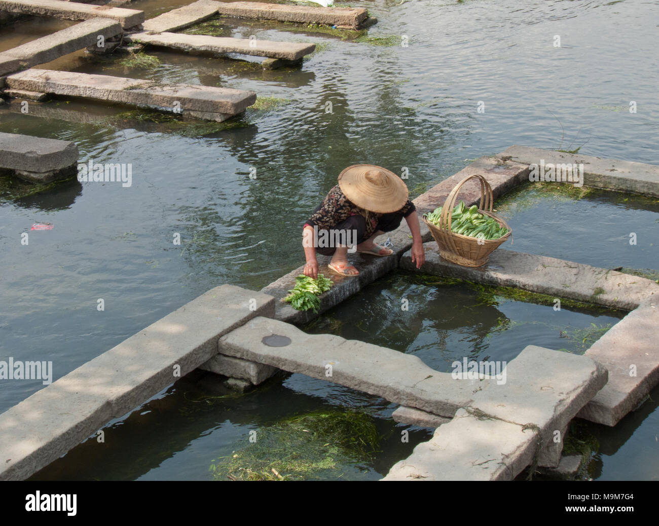 Woman farmer washing vegetables in a river in a village in Yunnan ...