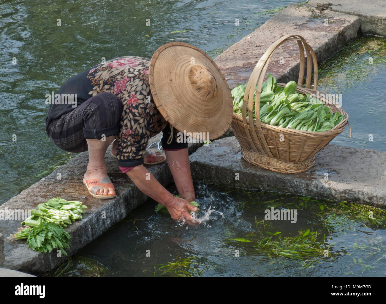 Woman farmer washing vegetables in a river in a village in Yunnan ...