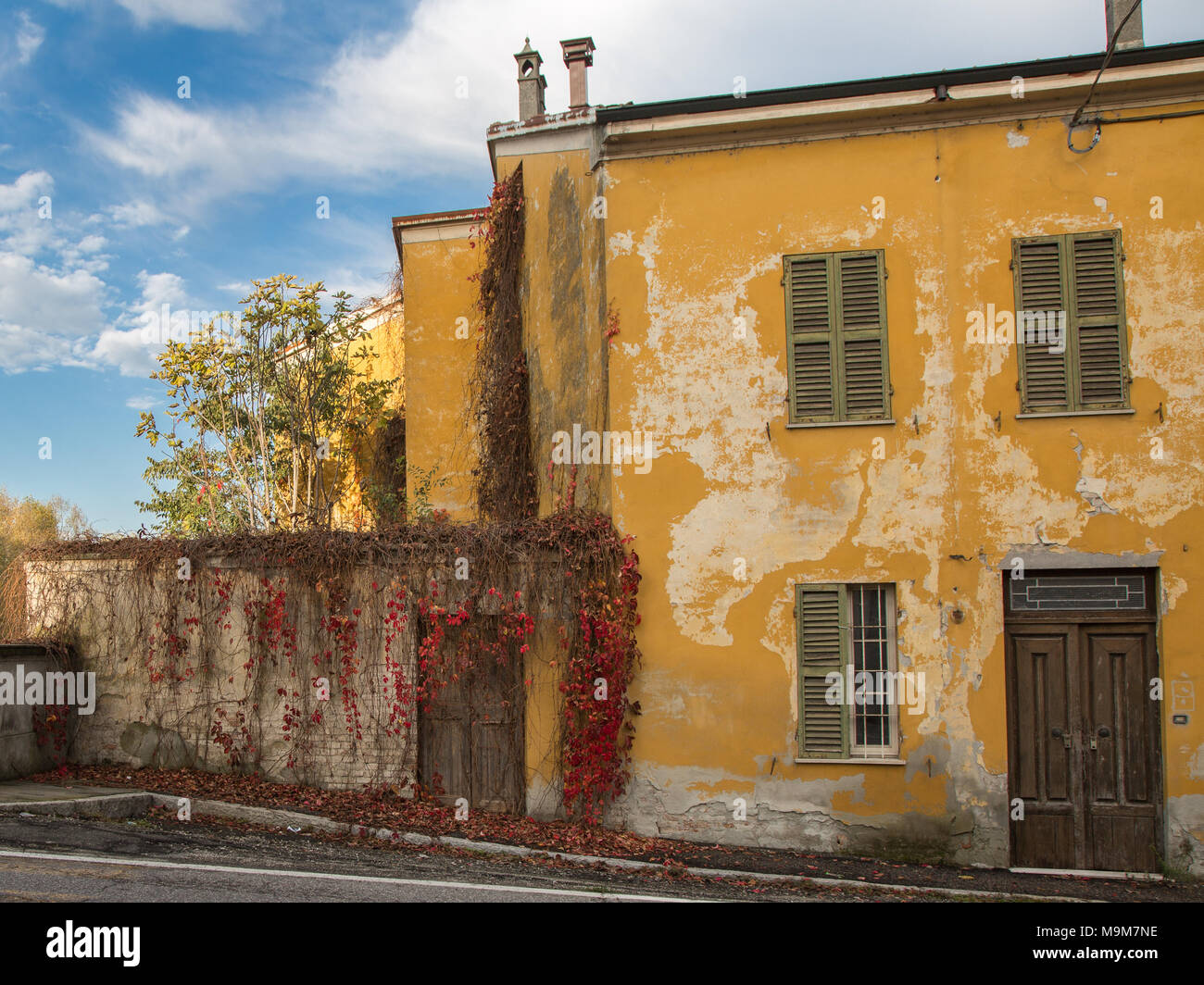 Facade of Ancient Yellow House in Parma with Red Vegetation, Italy ...