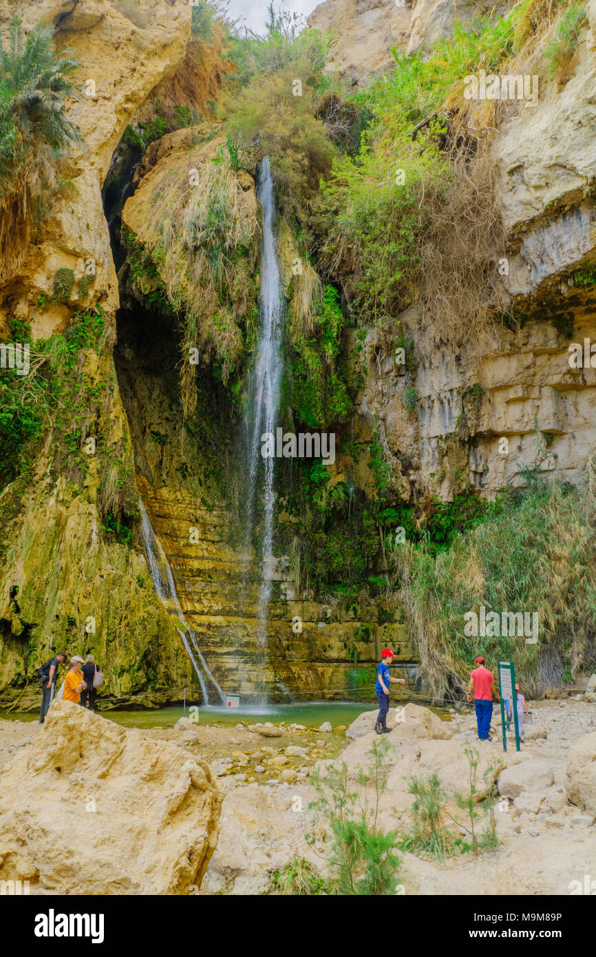 EIN GEDI, ISRAEL - MARCH 16, 2018: The David waterfall, with visitors ...