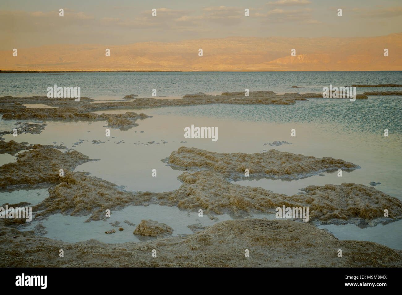 Sunset view of salt formations in the Dead Sea, between Israel and Jordan Stock Photo - Alamy