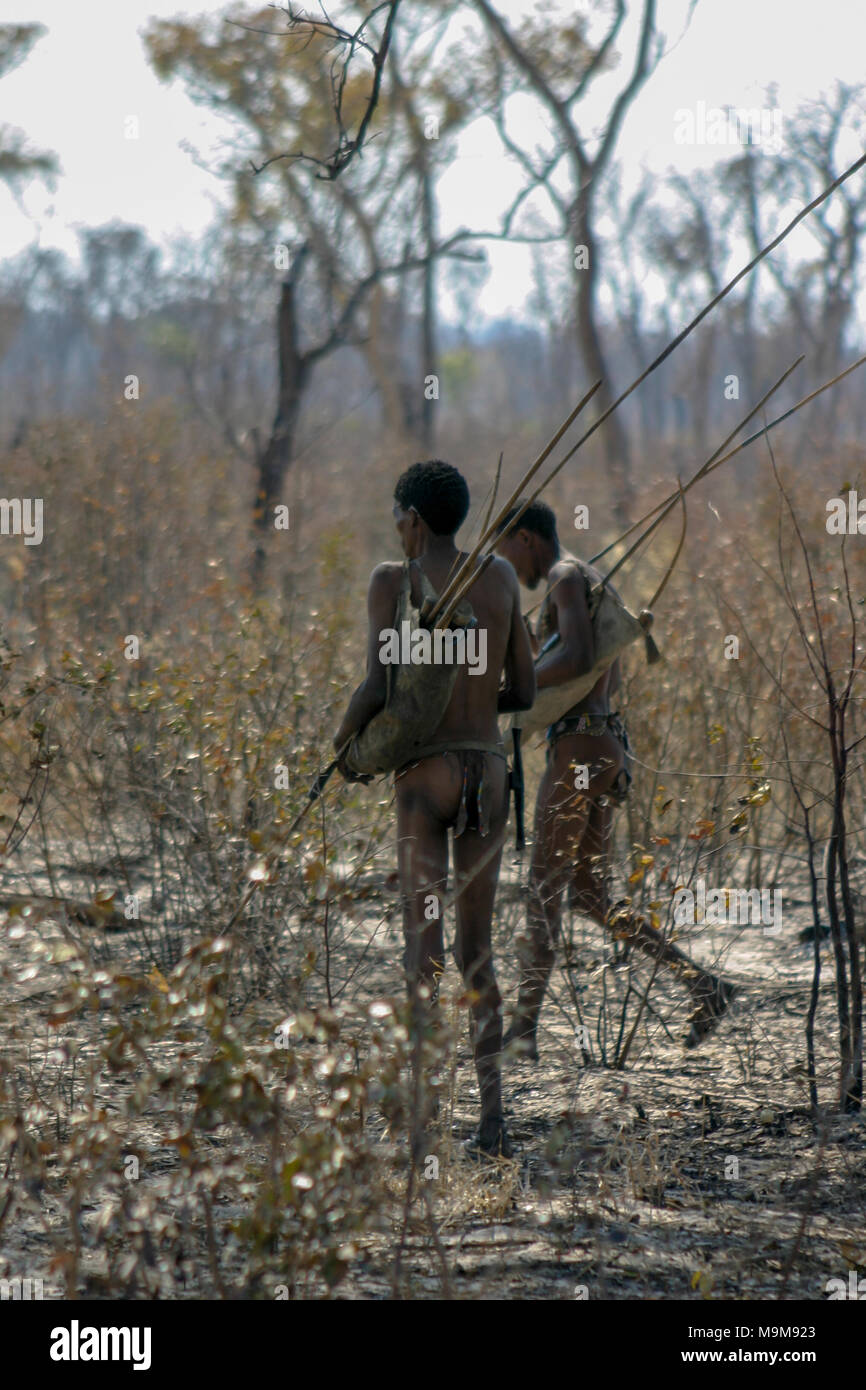 San bushman food hi-res stock photography and images - Alamy